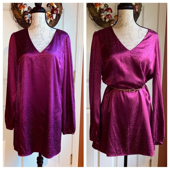 Allison Joy | Dresses | Allison Joy Evereve Leopard Animal Print Long ...